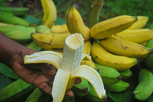 Banana “Puwalu” (පුවාළු කෙසෙල්) 1kg – 0762 655 255