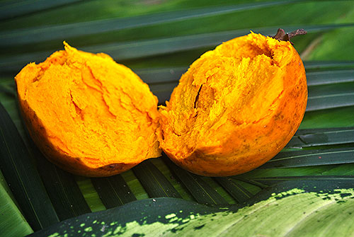 Yellow Sapote (ලාවුලු) 1kg – 0762 655 255