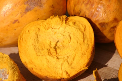 Yellow Sapote (ලාවුලු) 1kg – 0762 655 255