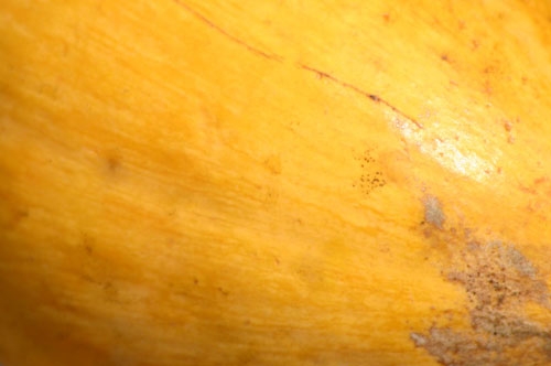 Yellow Sapote (ලාවුලු) 1kg – 0762 655 255