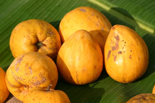 Yellow Sapote (ලාවුලු) 1kg – 0762 655 255