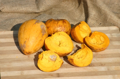 Yellow Sapote (ලාවුලු) 1kg – 0762 655 255